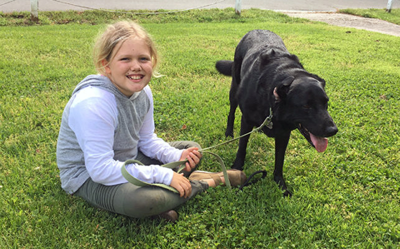 Request Appointment | Tail Wag Walkers